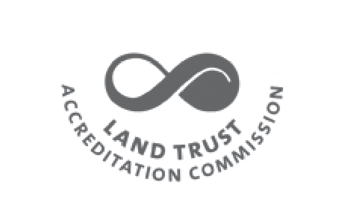 LTAC_Logo - Cantilever